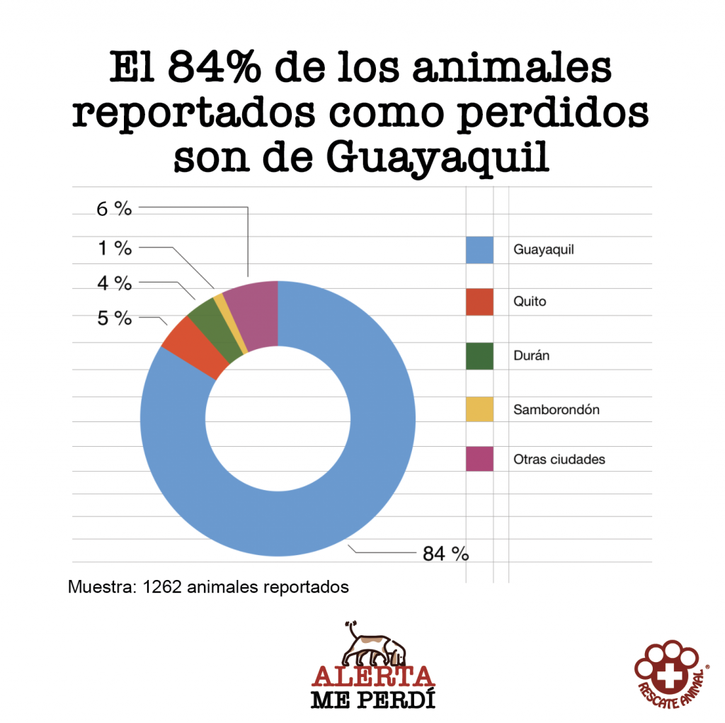 Guayaquil, más de 1000 animales de compañía extraviados en el 2021 – FRAE
